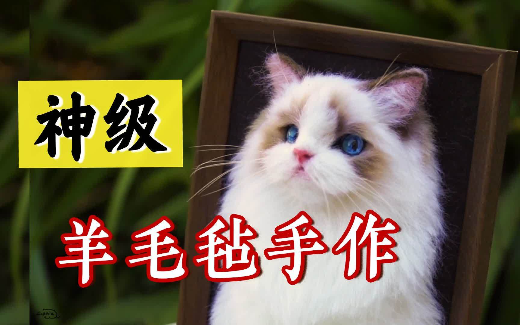 大神级别"羊毛毡"作品猫咪模型,网友:我差点信以为真!|一屋