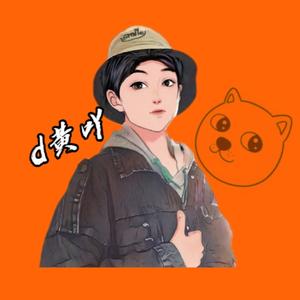 d黄游戏解说 