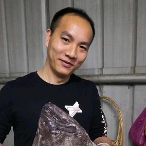 活性炭周东记 