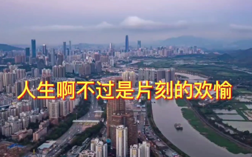 罗翔教授经典语录。#张三