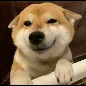 睡不着的小Tt 