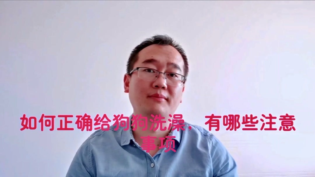 怎样给狗狗洗澡?宠物医生教你这5个步骤和注意事项