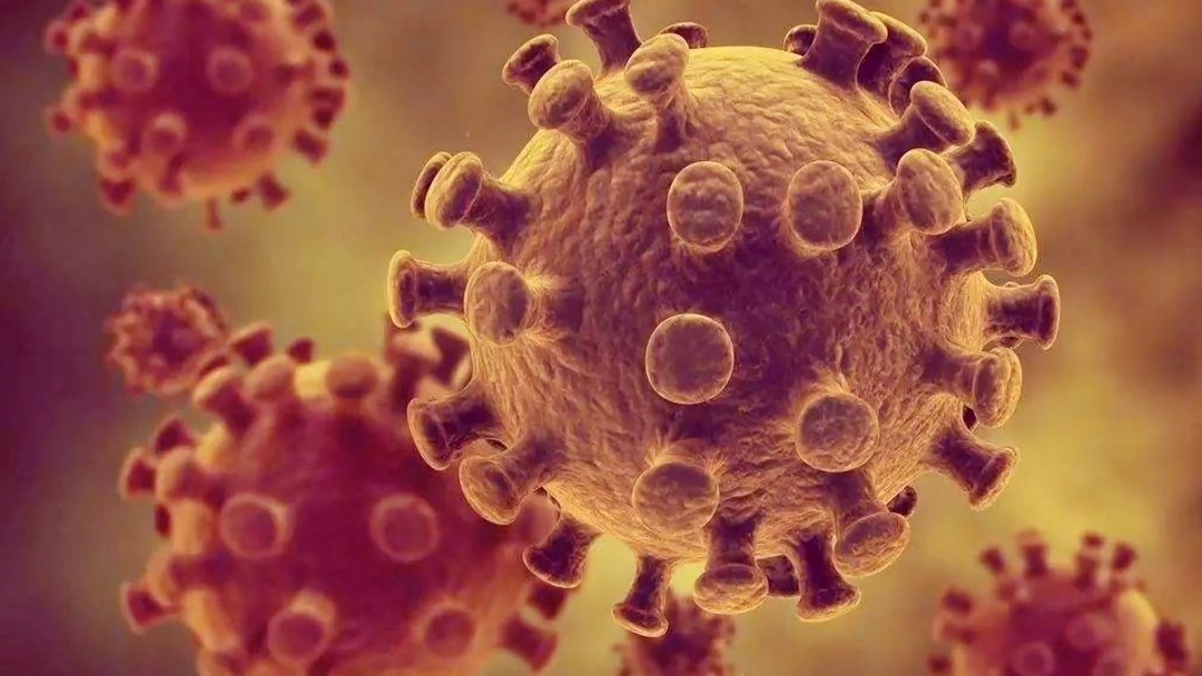 人类能捏死手上的细菌吗?科学答案让人哭笑不得!不信你试试!