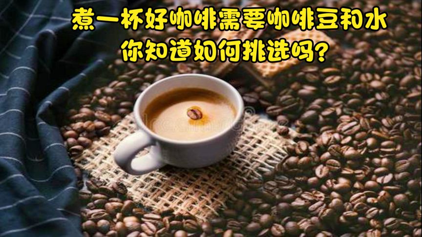 煮一杯好咖啡需要咖啡豆和水,你知道如何挑选吗?