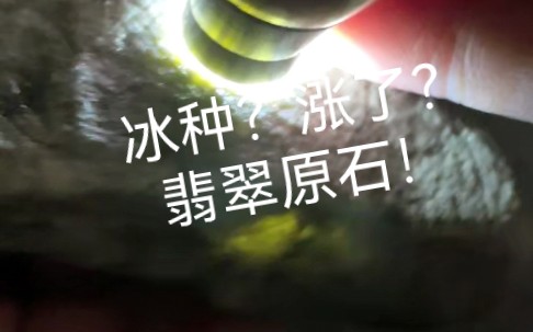 翡翠开窗实战,以小博大开涨不是梦!