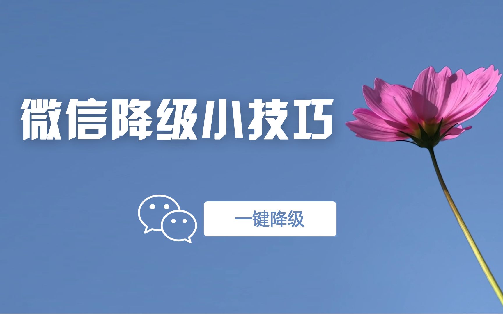 微信7.0不好用?教你一步降回旧版本