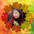 艺云彩绘8188 