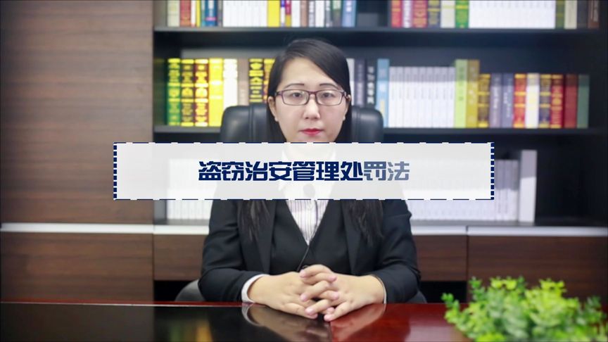 盗窃治安管理处罚法