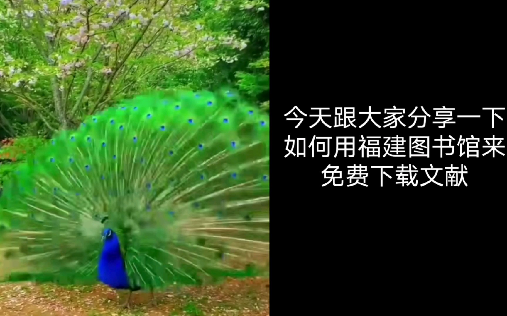 毕业没法在知网下载文献?历时6小时,2分钟教你免费下载文献