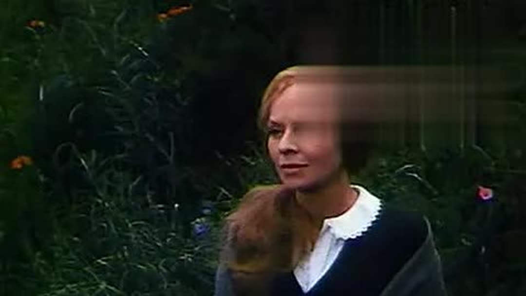 译制片《简爱》经典片段