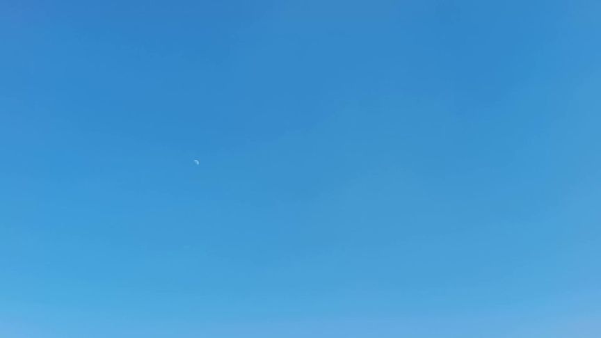 日月同辉,月东日西,上弦月,大吉大利