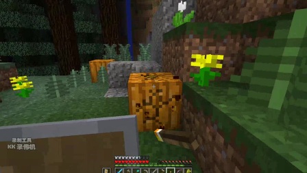 -独自一人-的我的世界纯生存地图.#8_旗帜大作战