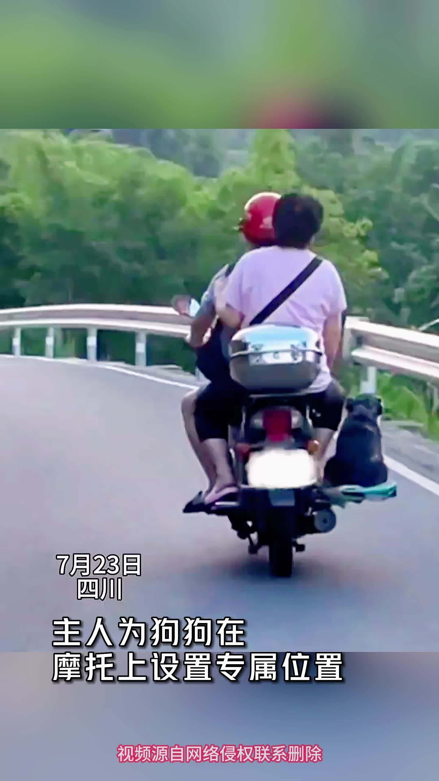 主人为狗狗在摩托上设置专属位置