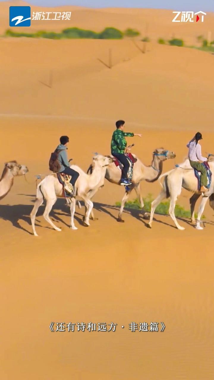 #吴奇隆打卡阿拉善特种兵旅行# @吴奇隆 本次来到阿拉善,不仅实现了...