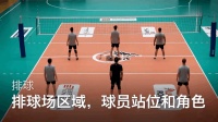 了解排球场区域, 球员的站位和角色
