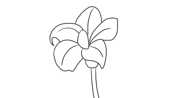 漂亮的桔梗花儿童亲子简笔画