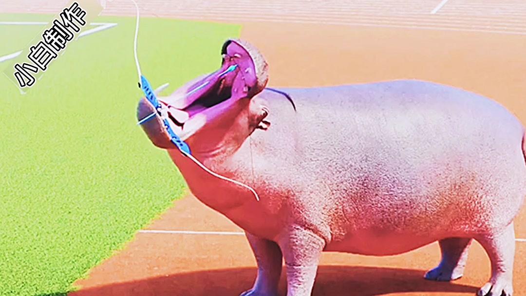 爆笑动物运动会