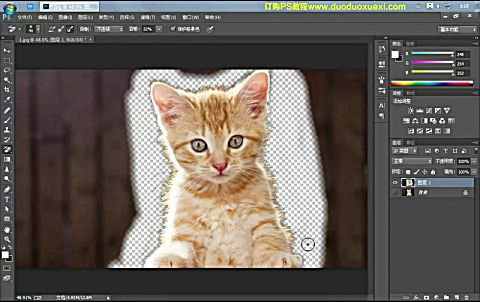 ps钢笔抠图教程 ps视频教程 学习ps