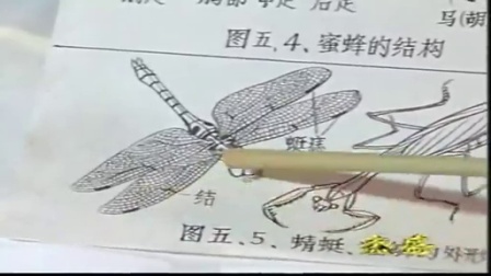 国画笔墨技法