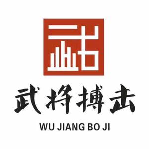武将搏击 
