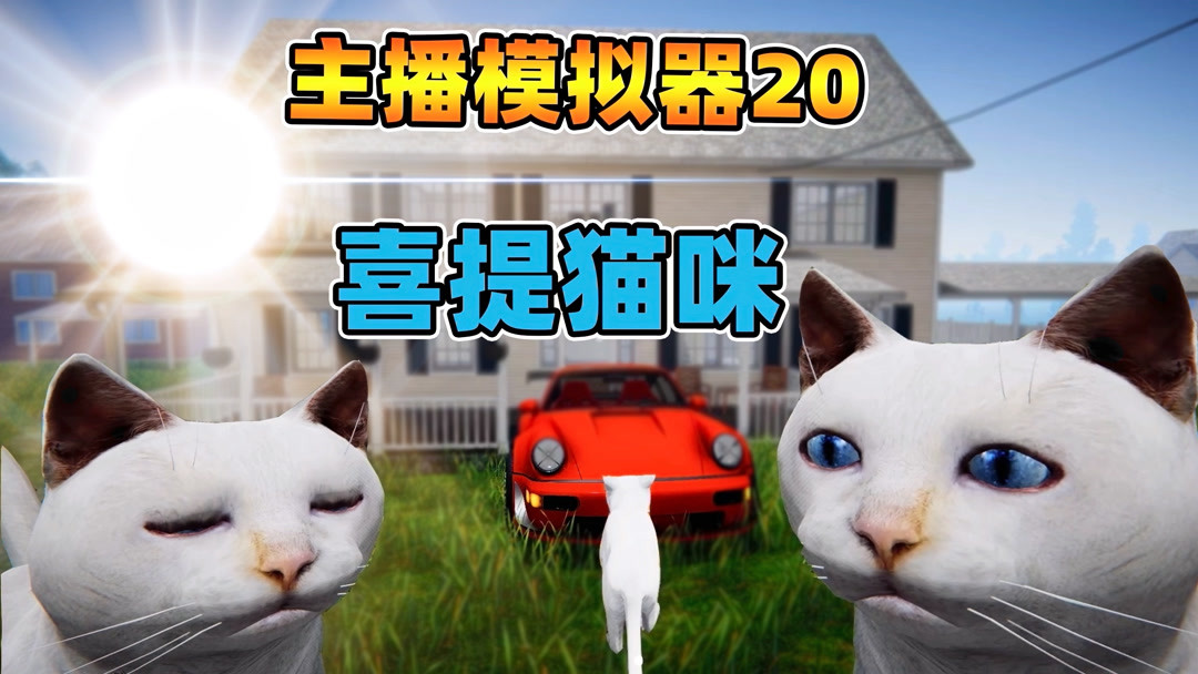 主播模拟器:孤独的地瓜买了一只猫咪,在大街上差点又痛失猫咪?