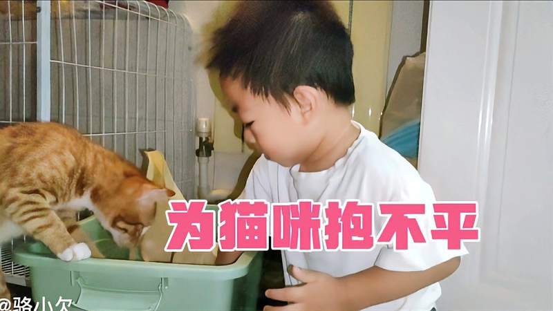 过期牛奶扔掉可惜喂狗狗!2岁萌娃为猫咪抱不平狗狗老三又挨揍了