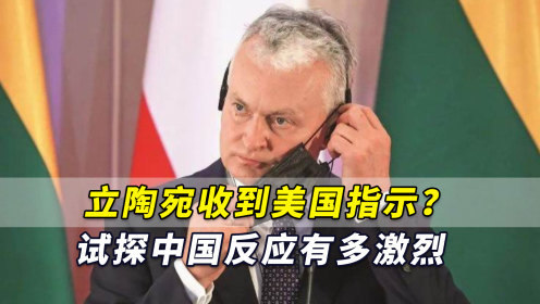 立陶宛反华自找苦吃?俄媒点明:他们攻击中国肯定受到美国指示