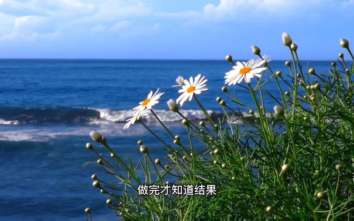 你所有的焦虑,大多都是因为想得太多,做得太少。