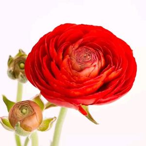 西安中创世纪电脑培训 