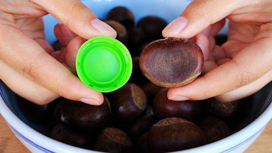 今天才知道,板栗开口一个瓶盖就搞定,一秒一个,个个都笑哈哈