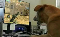 【多人娱乐121-122】CSOL新经典单挑战!生化灾变不服打到服