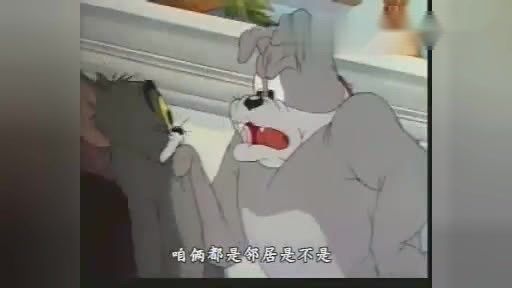 猫和老鼠东北方言版