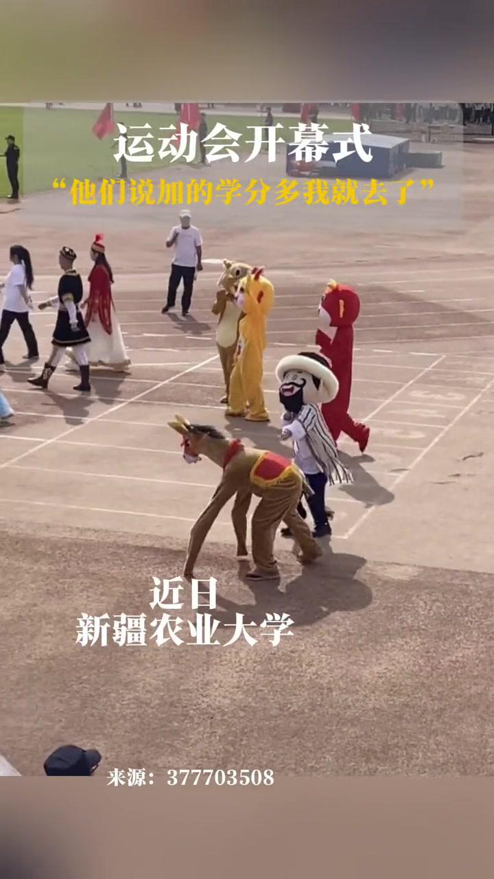 运动会开幕式,“他们说加的学分多我就去了”