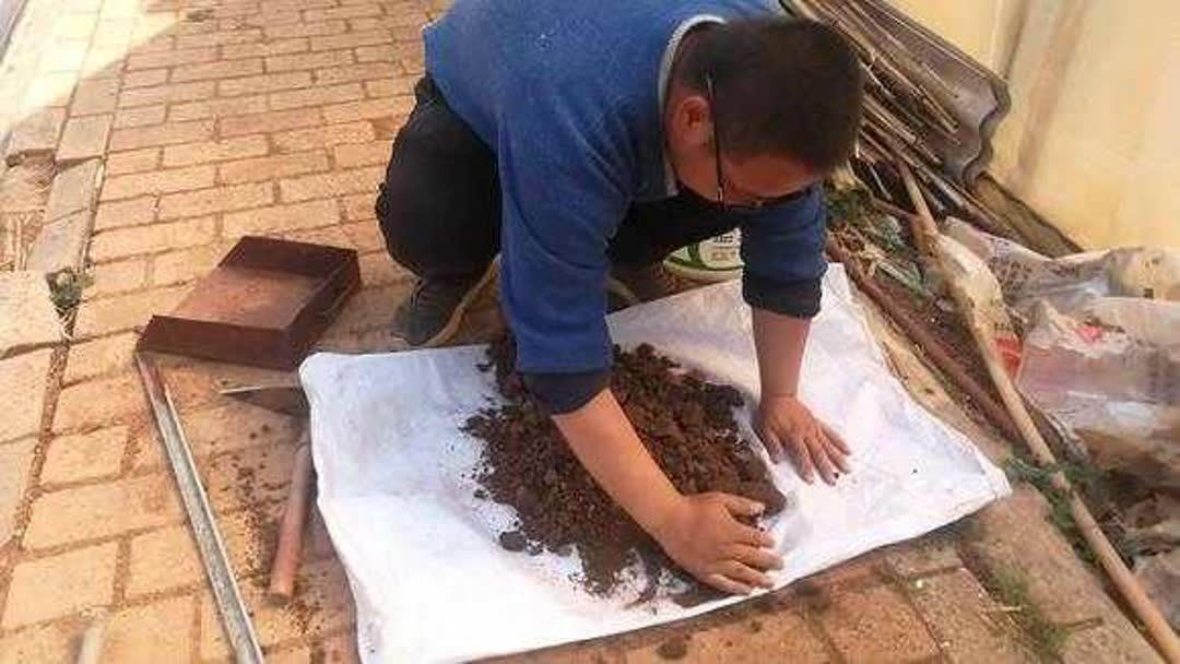 土壤养分测定-土壤取样方法四分法筛样科学施肥从土壤检测开始