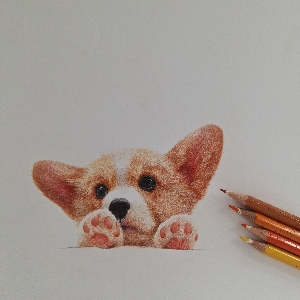 易子的彩铅画 