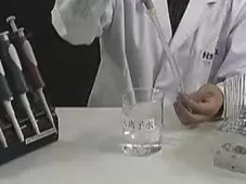 ...分解尿素的细菌的分离和计数 高三生物选修1 生物技术实践 探究实验...