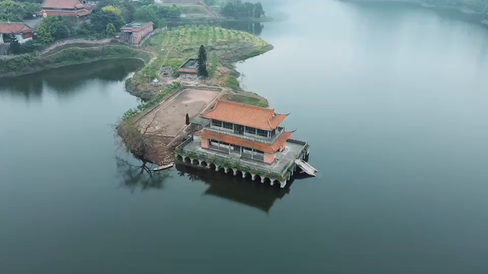 无人机在林业中的应用