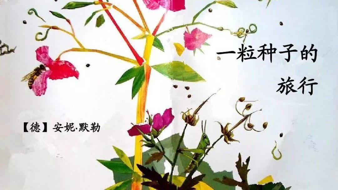 绘本故事:一粒种子的旅行(儿童启发),高清!