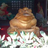 歪嘴爷叔足迹丈地球 