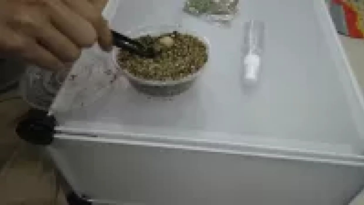 网上购买了两颗乌龟蛋,准备孵化小乌龟,一个乌龟蛋裂开了?