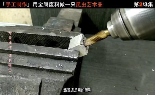 国外手工艺术家,用金属废料做了一只11比例的昆虫模型,你认识这种...