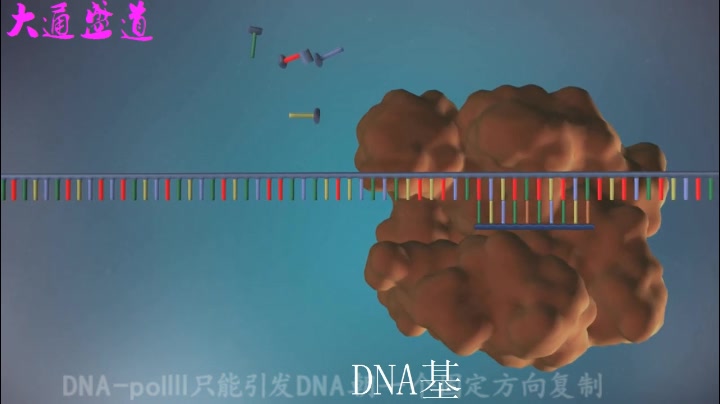 #微课#DNA复制(许燕)