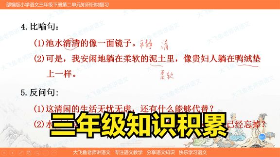 小学三年级第二单元课内精彩句子分享,看看比喻句和反问句的作用
