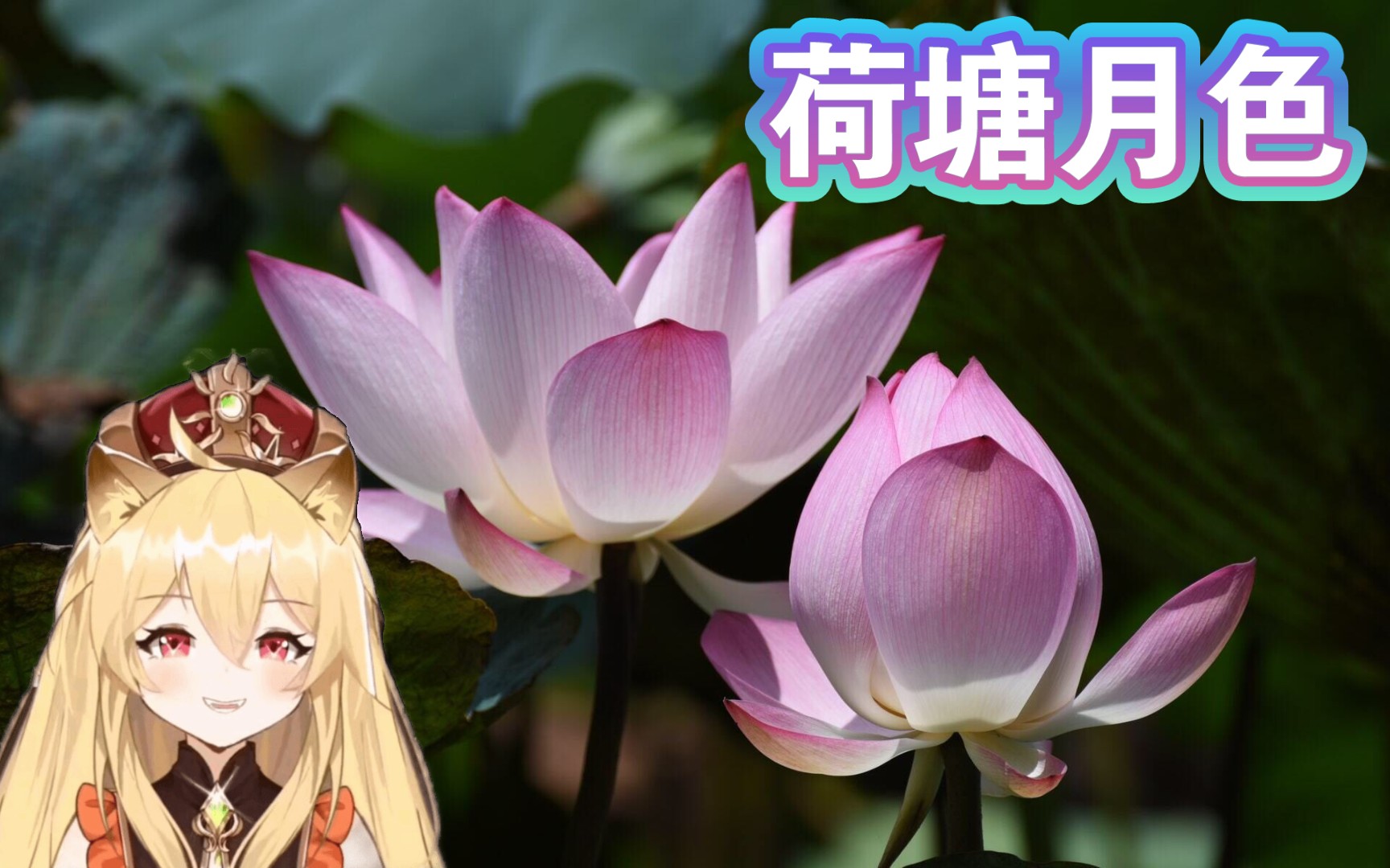 【蕾尔娜Leona | 4K 】《荷塘月色》幼儿园狮子翻唱版 内加毕生所学(...