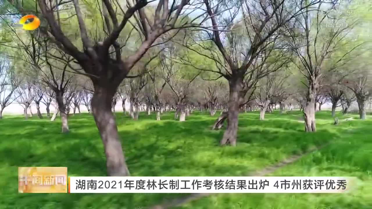怀化优秀!湖南省2021年度林长制工作考核结果“出炉”