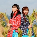 超爱赛跑de成公山梅 