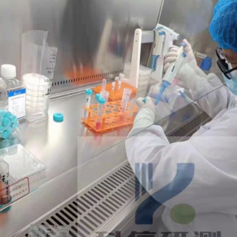 划痕侵袭迁移等实验