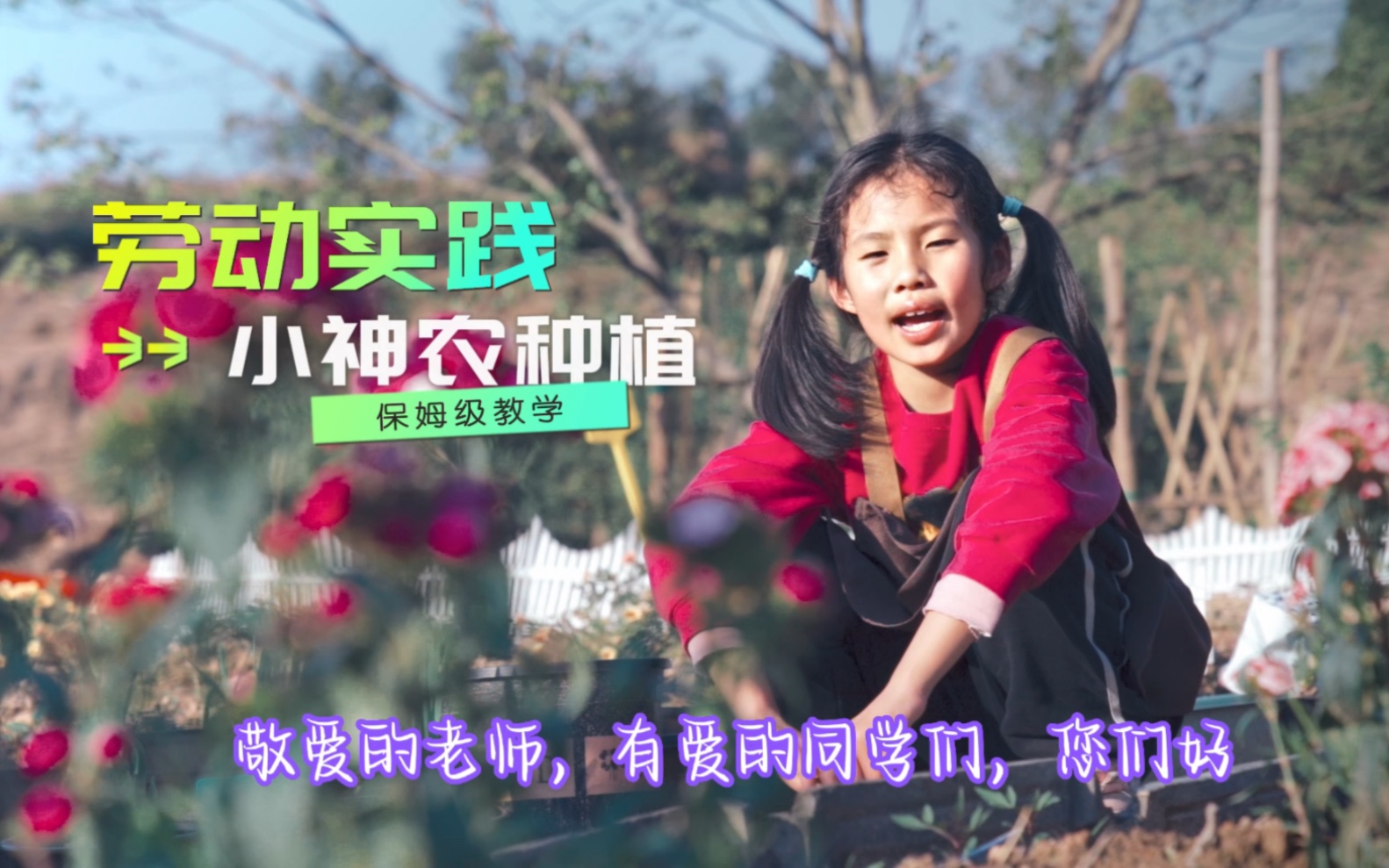 学校布置的劳动实践作业,那就拍一个吧。