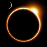 幻想乡敬老院院长 