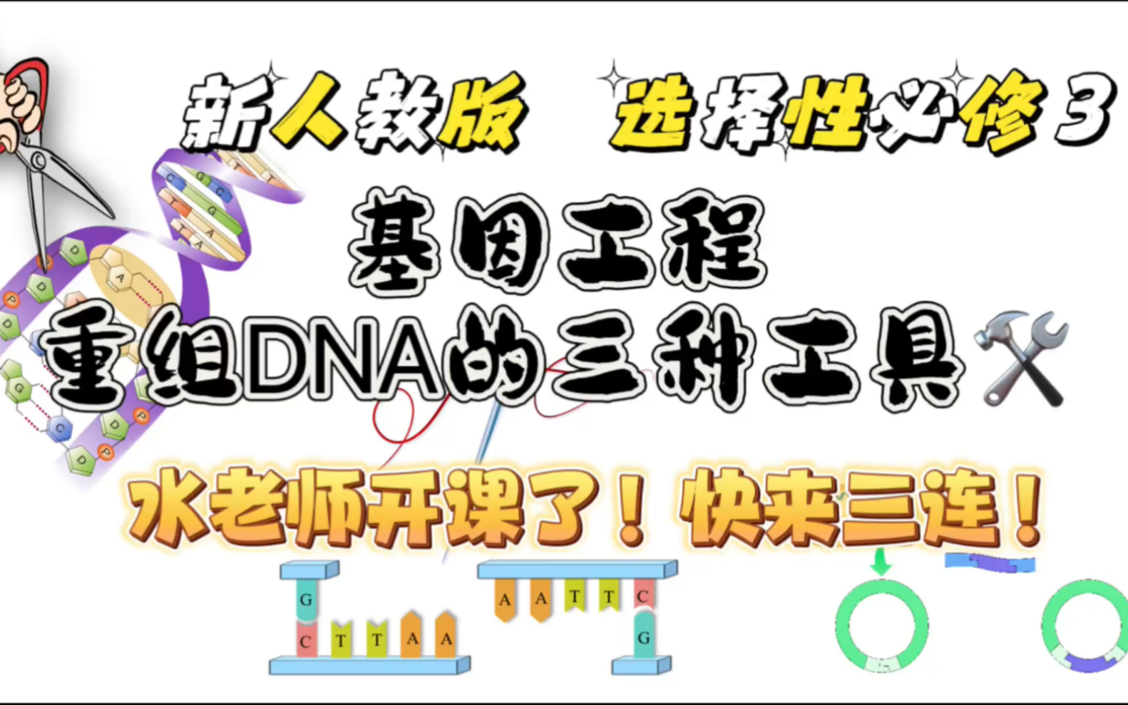 高中生物学选择性必修3 | 第3章基因工程 | 重组DNA技术的基本工具